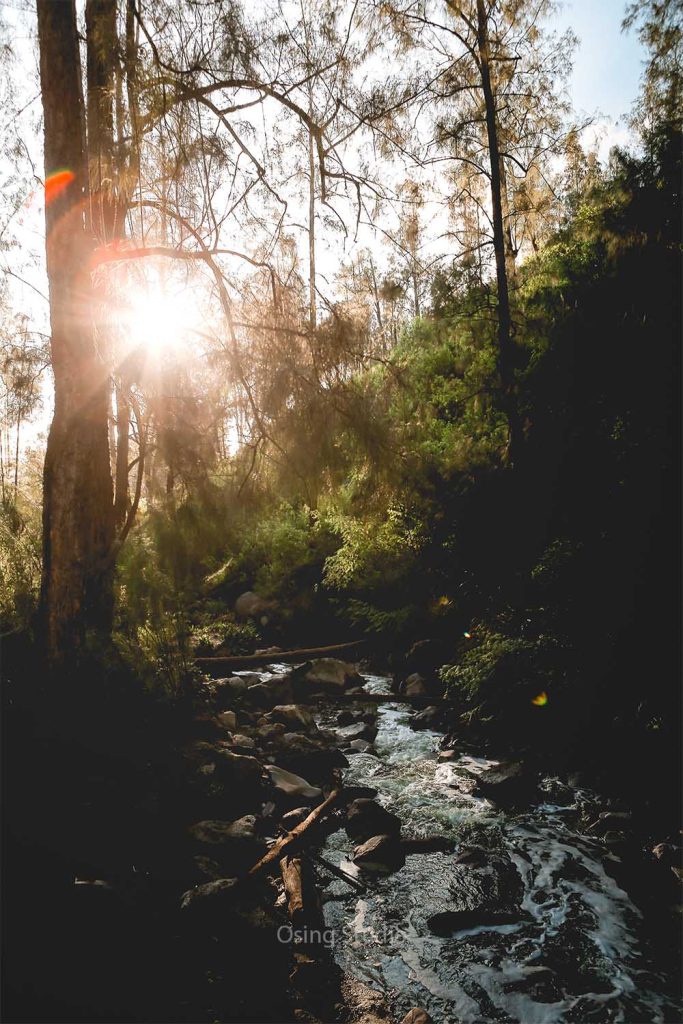 Portofolio Landscape - Osing Studio