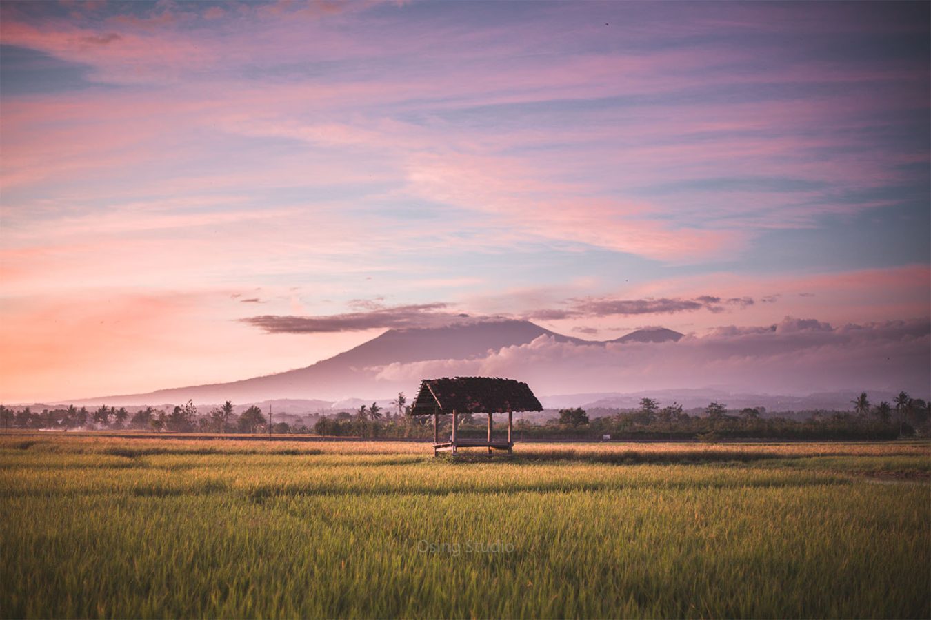 Portofolio Landscape - Osing Studio