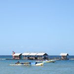 Portofolio Landscape - Osing Studio